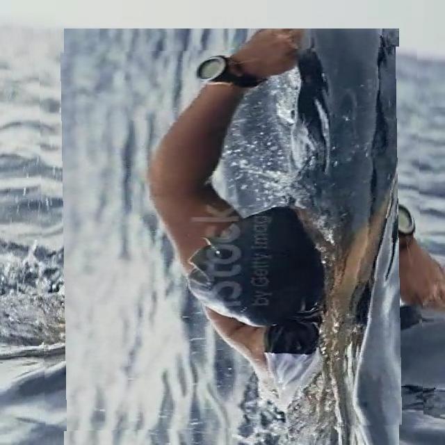 aqua-wings Object Detection Model by drowning