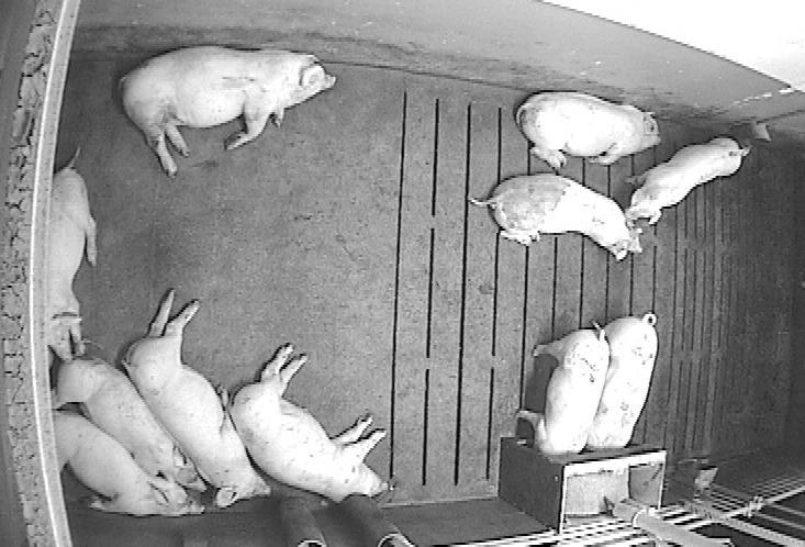 Odweek7 Object Detection Dataset And Pre Trained Model By Object Detection