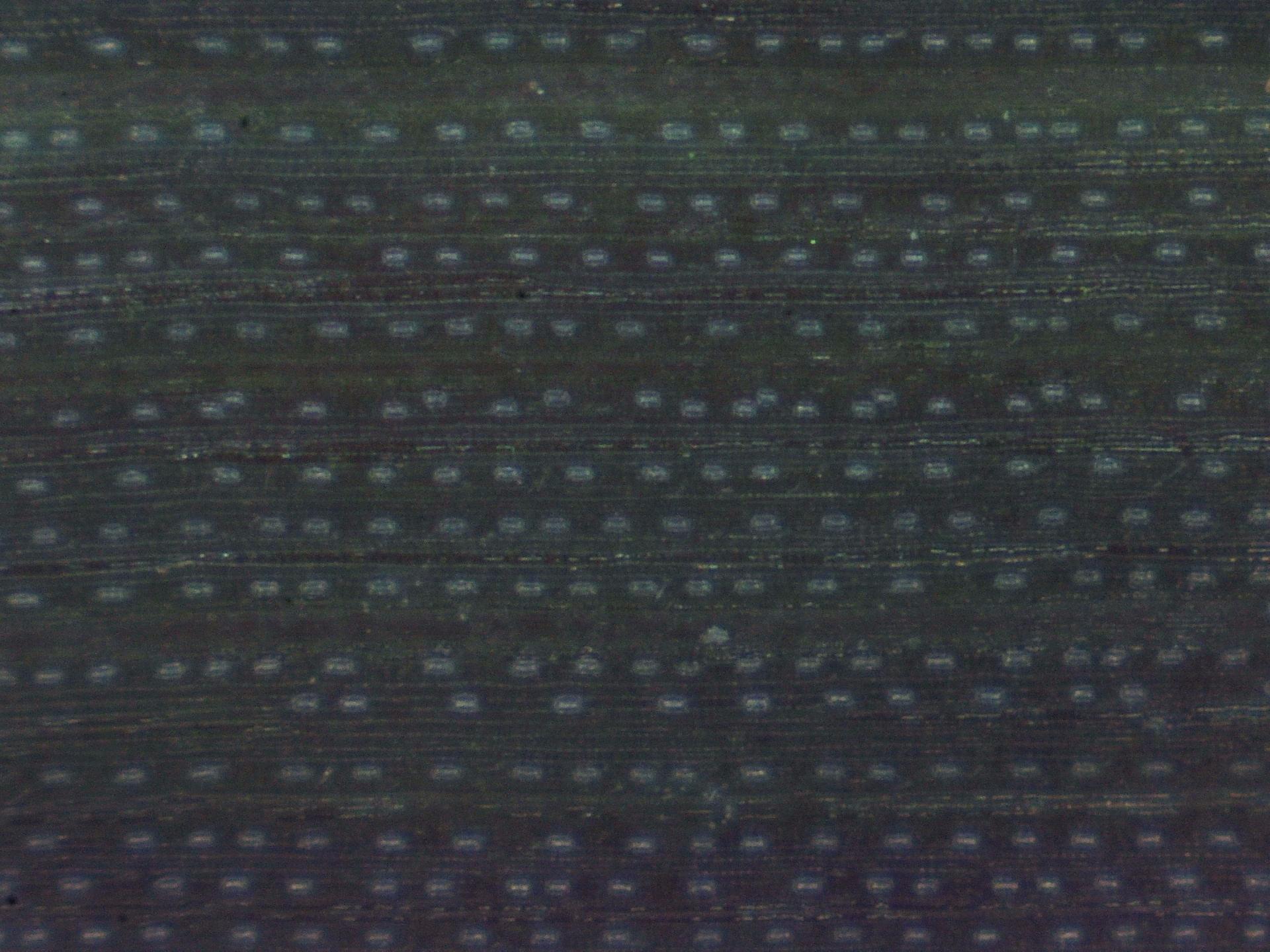 Wheat X100 Object Detection Dataset V1 X100 Wheat By Stomata Project