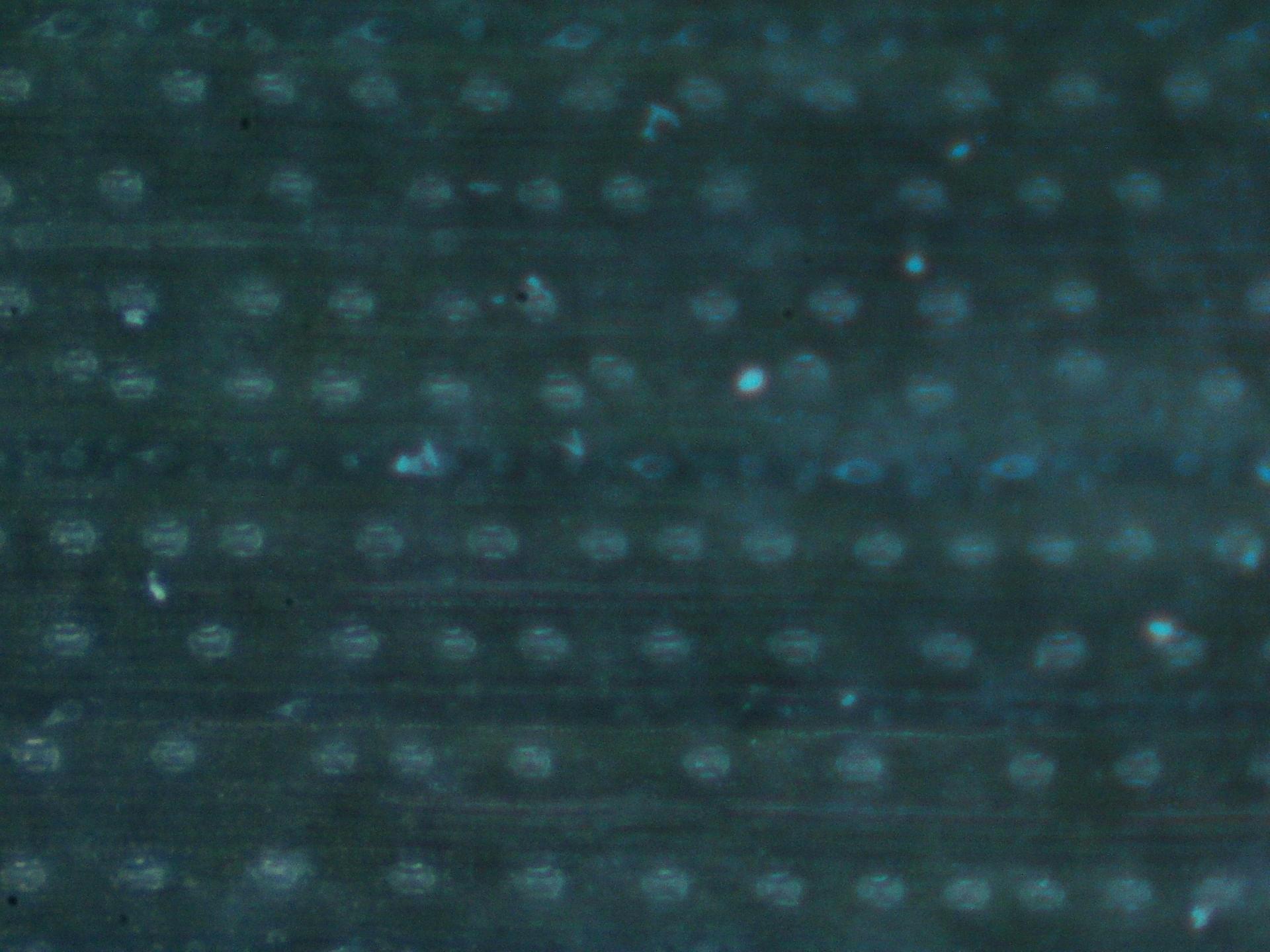 X200 Newest Object Detection Dataset By Stomata Project