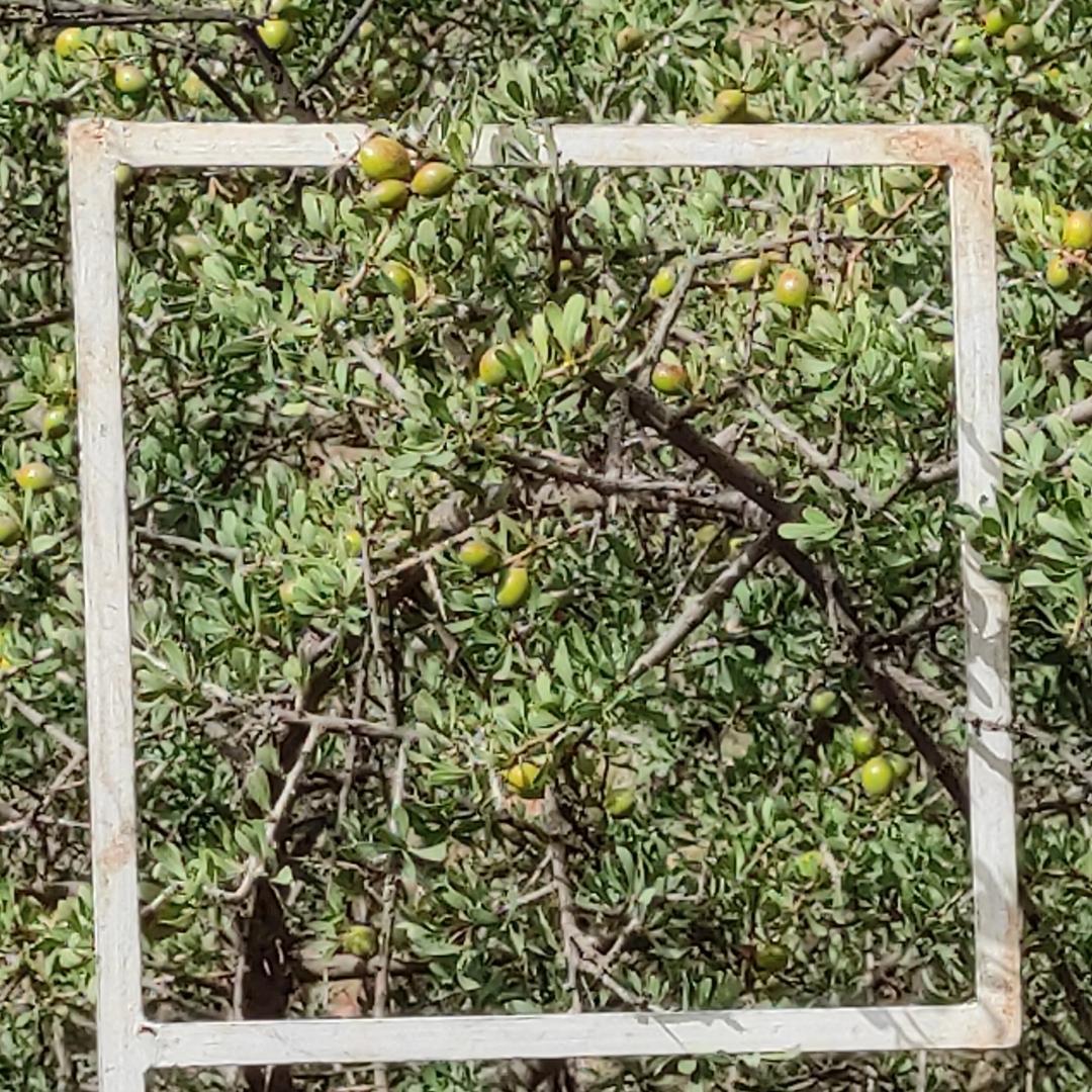 atf Instance Segmentation Dataset by mfe