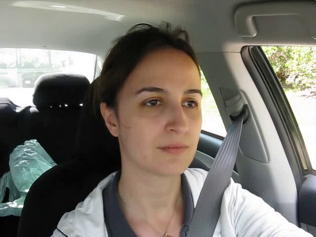 driver detect train4-29-2 Object Detection Dataset by driver detect