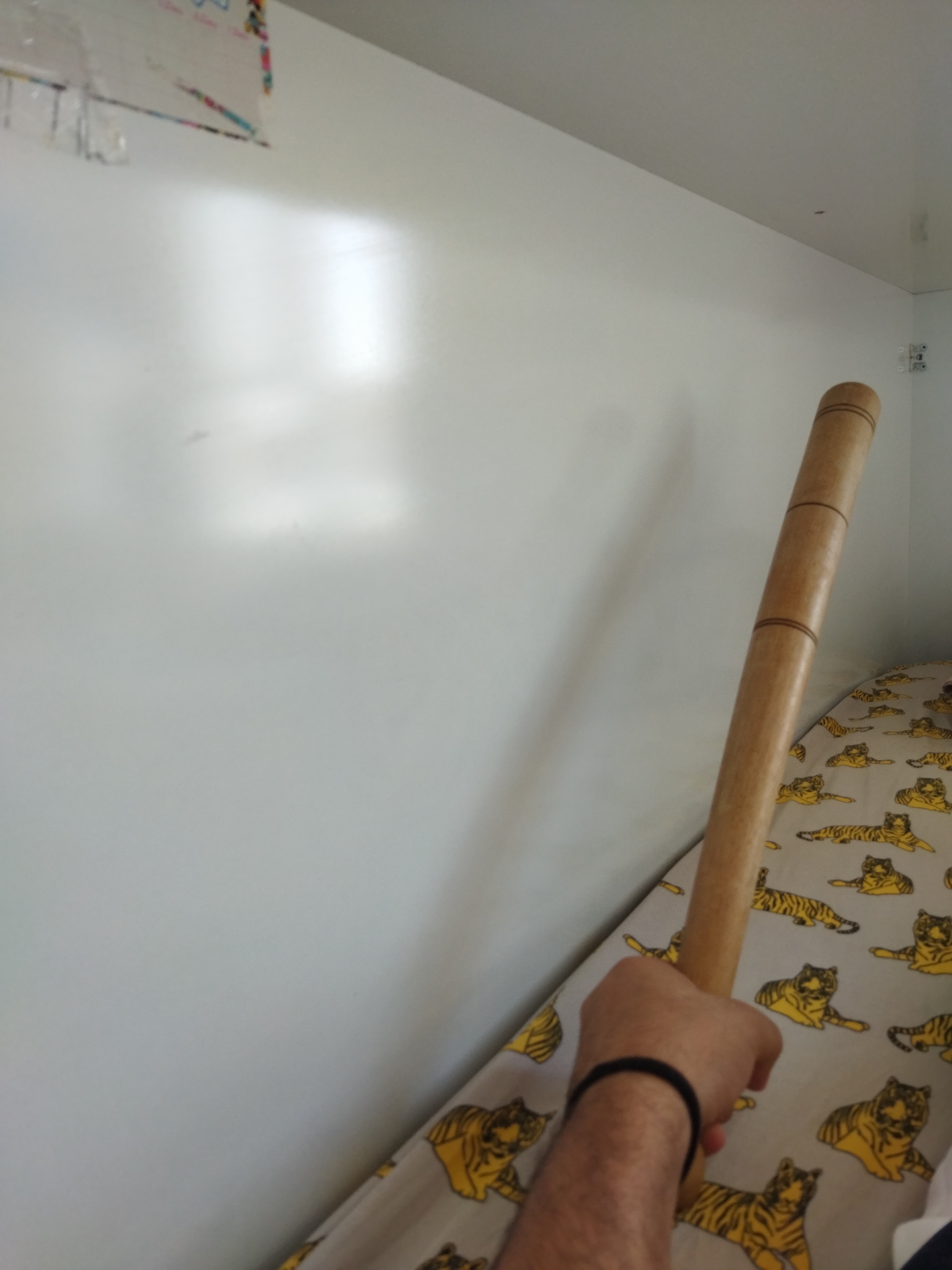 Baseball-Bat Object Detection Model by Bar Demirhan