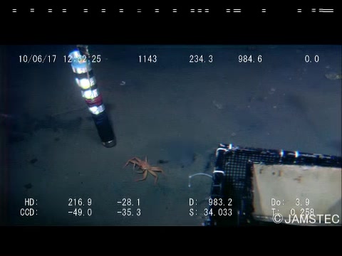 trash can dataset Instance Segmentation Dataset and Pre-Trained Model ...