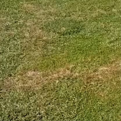 Drone, sky, trees Object Detection Dataset by BigNose