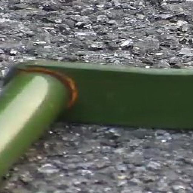 Fod Detection Object Detection Dataset By Foddetection