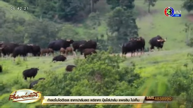 Nipat - Roboflow Universe