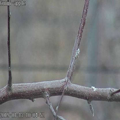 val Object Detection Dataset by new-workspace-sx6m2