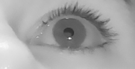 Glint Detector Keypoint Detection Dataset by adiWorkspace