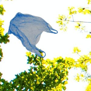 waste detection Object Detection Dataset and Pre-Trained Model by classs