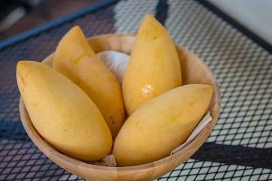 mango ripe or not ripe Object Detection Model by Ripe or not ripe