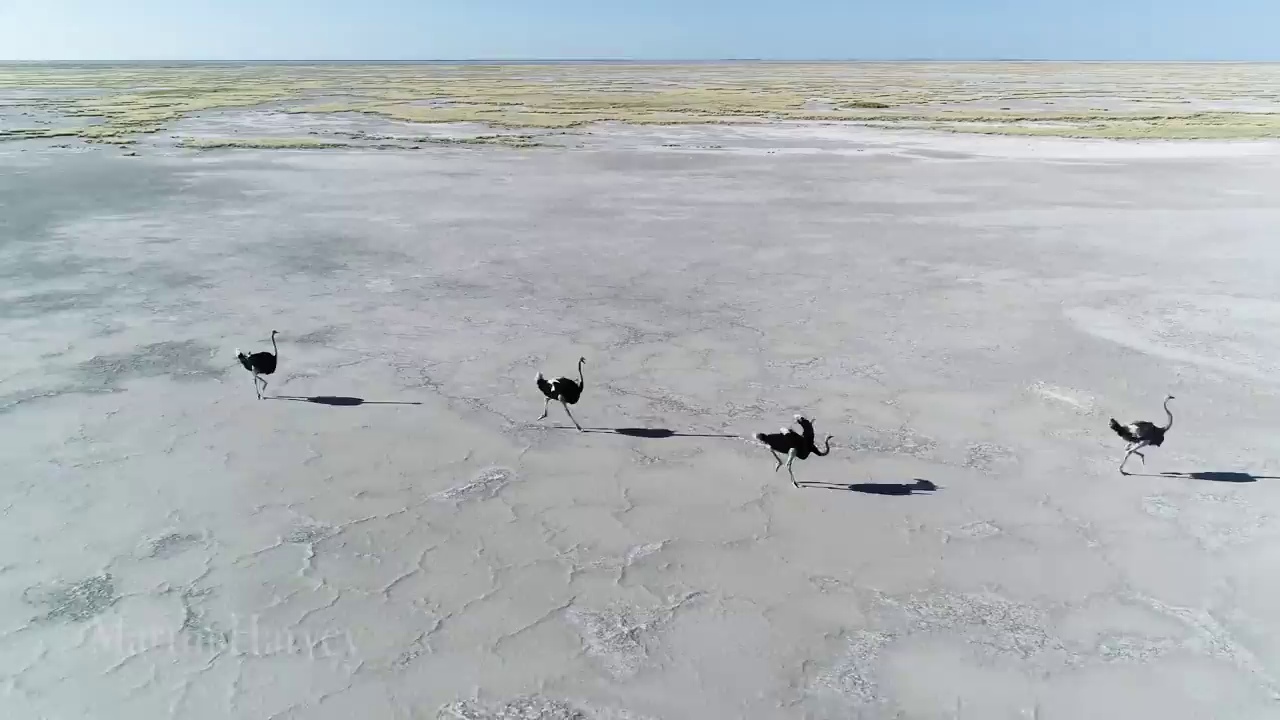 Clothdetection Object Detection Dataset By Myworkspace