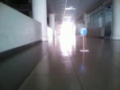 trafficsign Object Detection Dataset by FPT