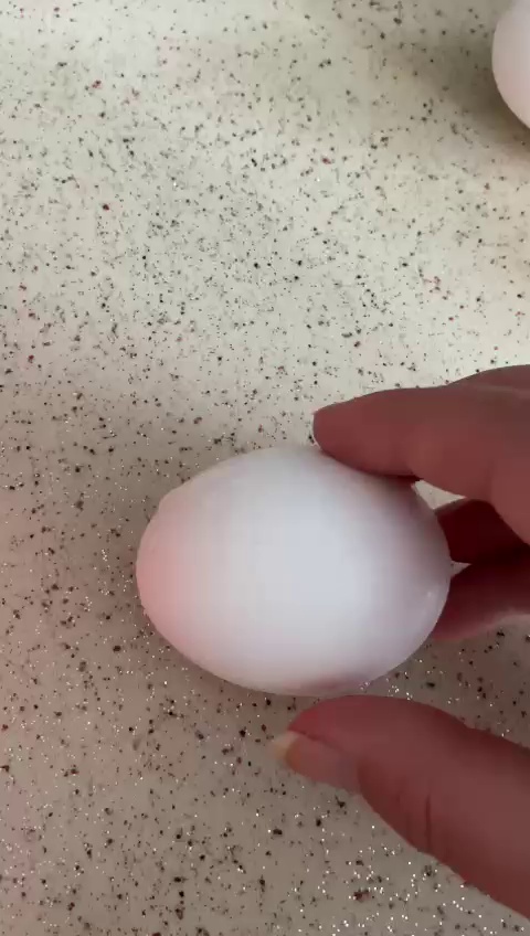 egg types Object Detection Dataset and Pre-Trained Model by Egg