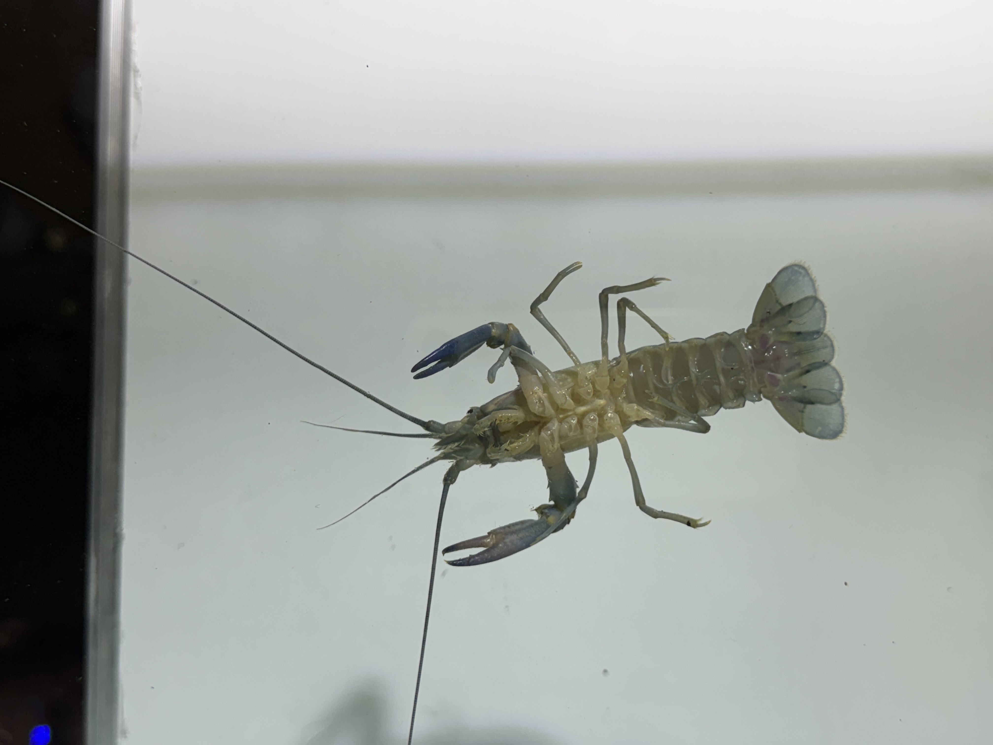 AquaTech Object Detection Dataset and Pre-Trained Model by Research