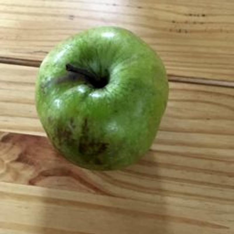 Fruits Object Detection Dataset By Project9