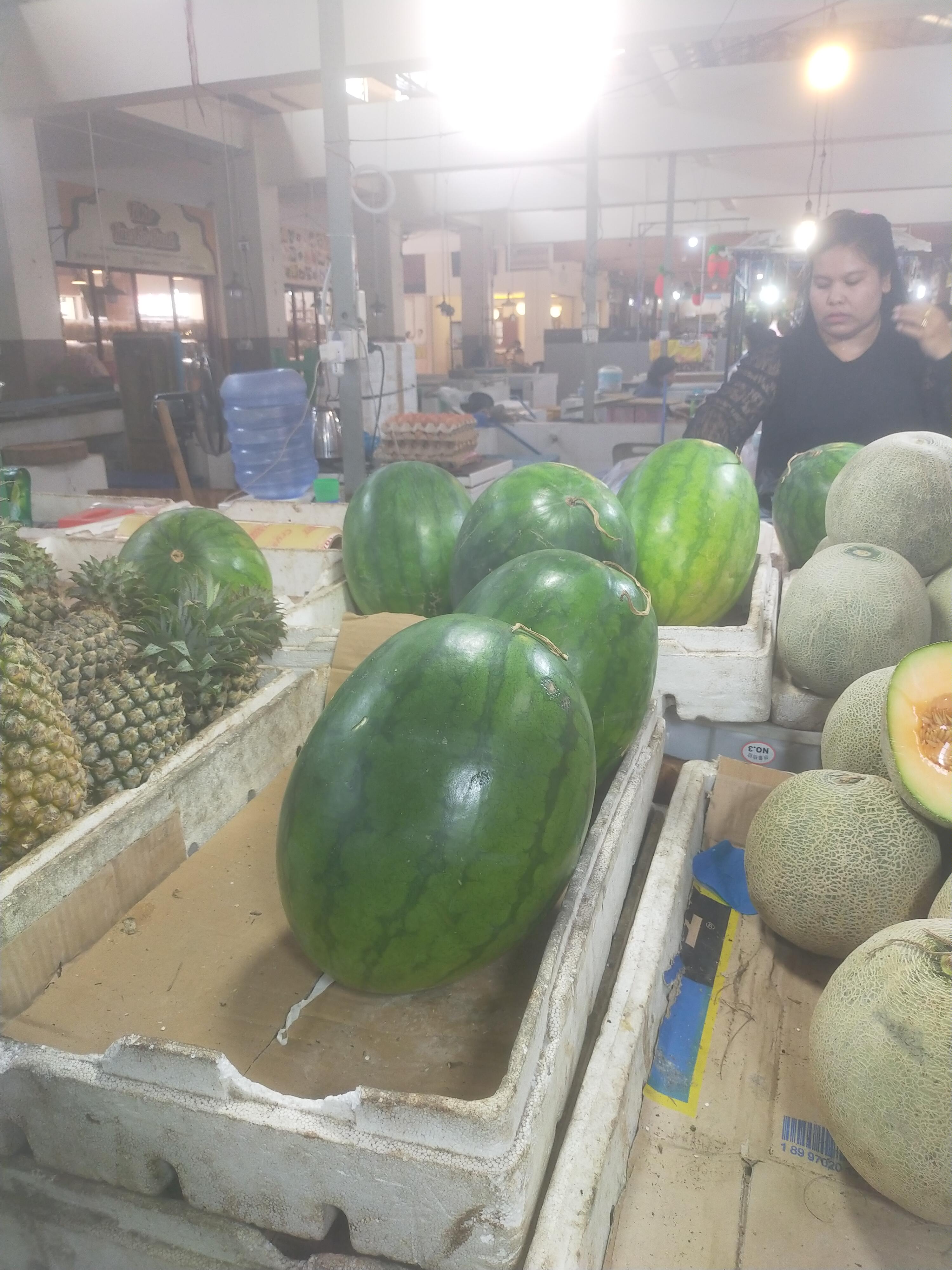 watermelon Object Detection Dataset by rookieroverp2