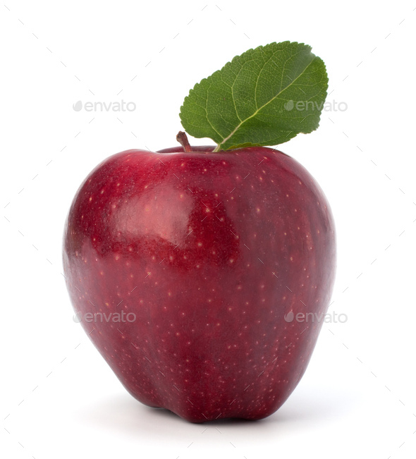 tropicana_yolor Object Detection Model by fruit harvest robot manipulator