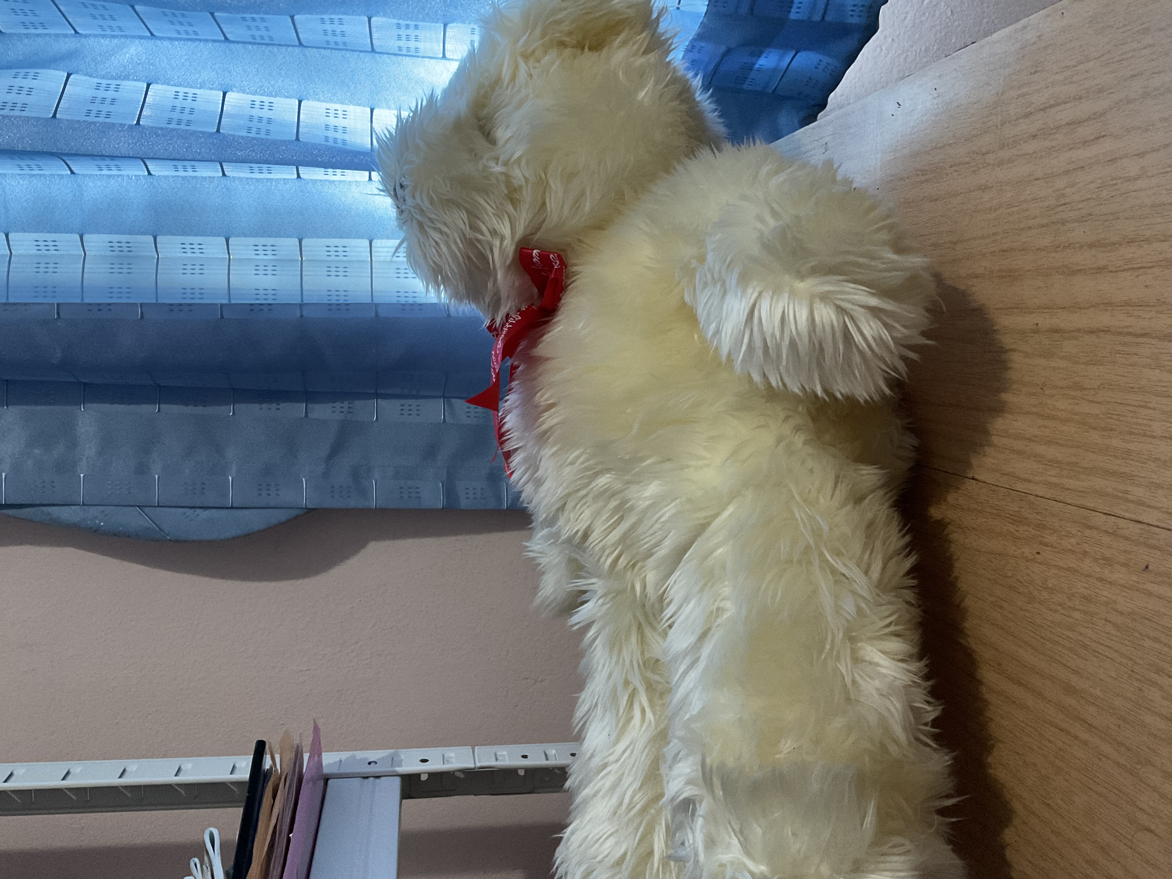 Teddy bear Object Detection Dataset by piyarin