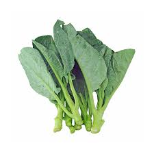 Green vegetable Object Detection Dataset and Pre-Trained Model by Daaa