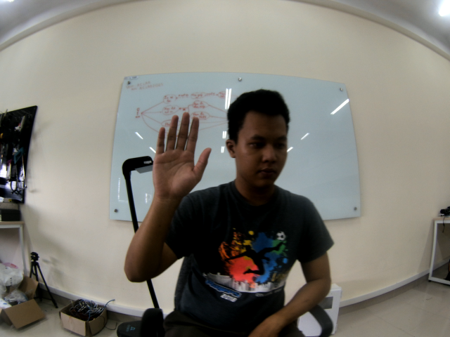 Hand_Detect Object Detection Model by HandDetectUpdate