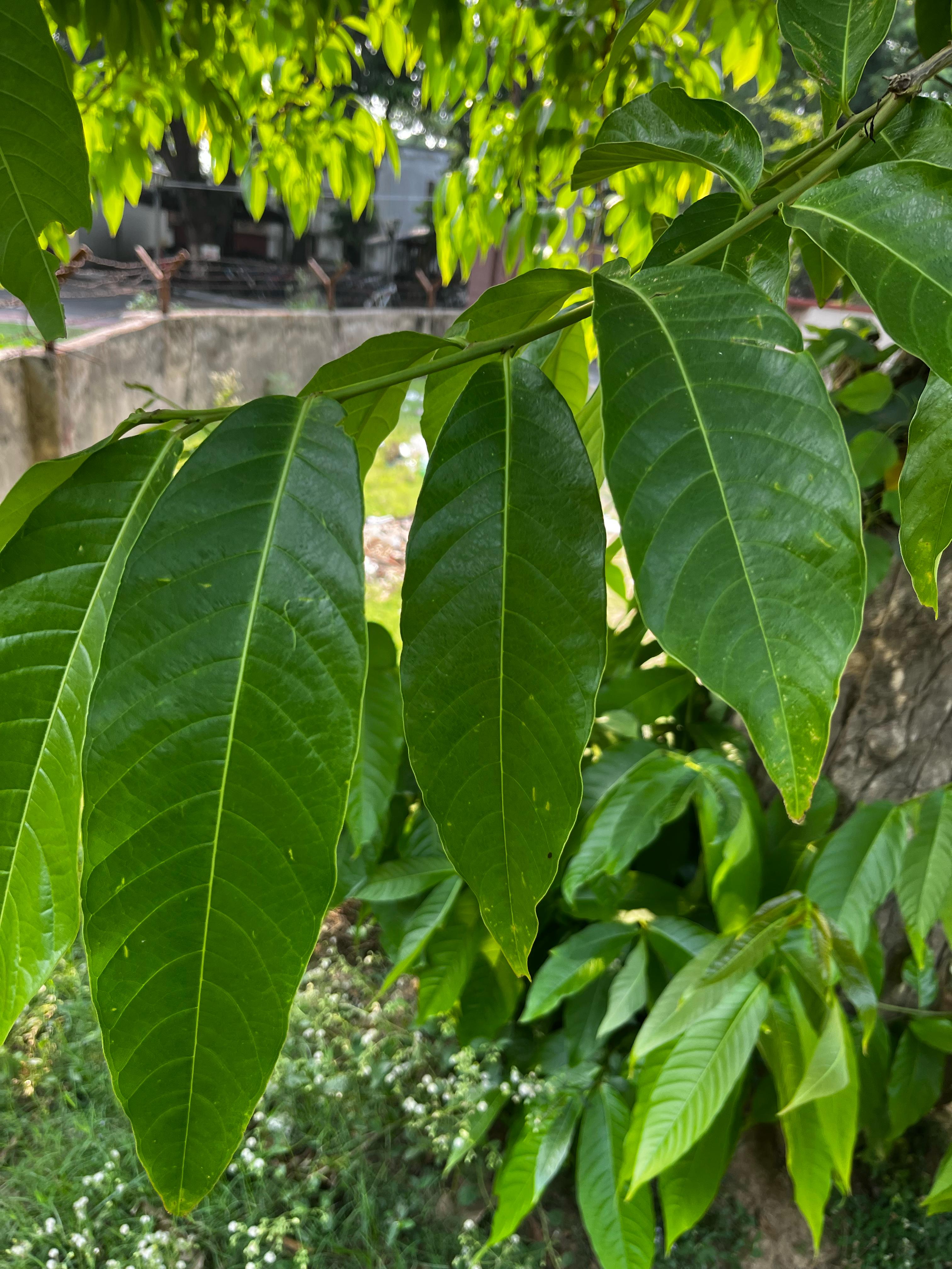 Mtp2 Roboflow Universe