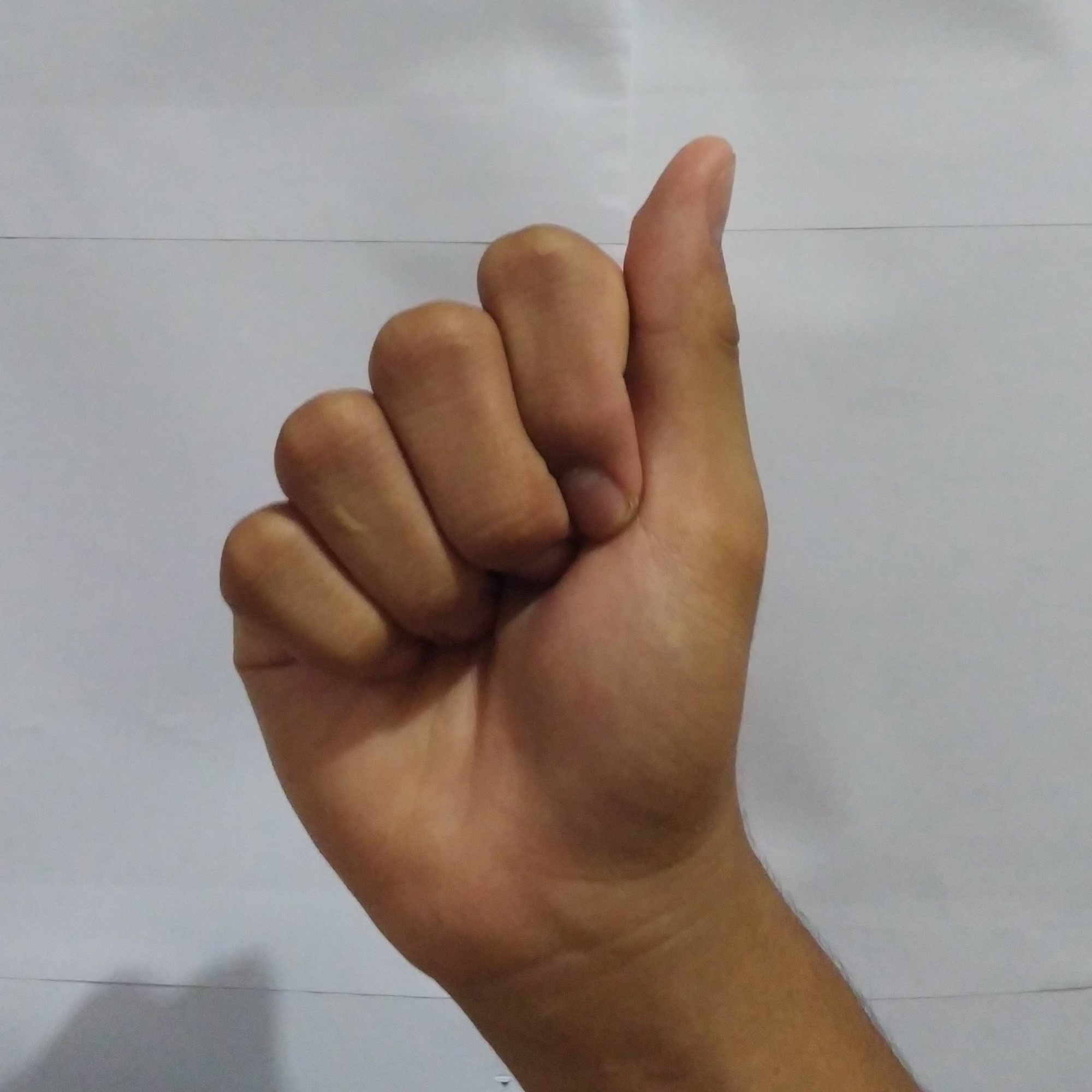 Sibi Sign Language Object Detection Dataset V2 2024 10 28 6 29am By