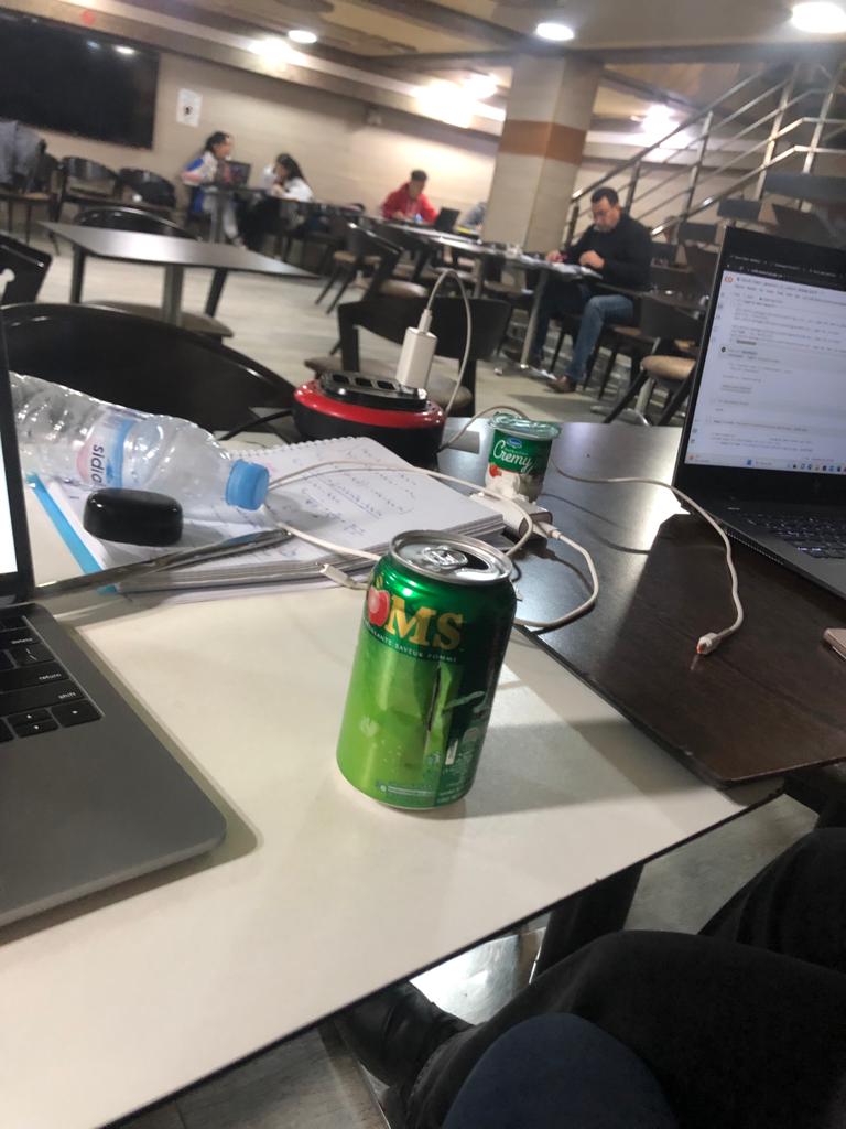prout Object Detection Model by test