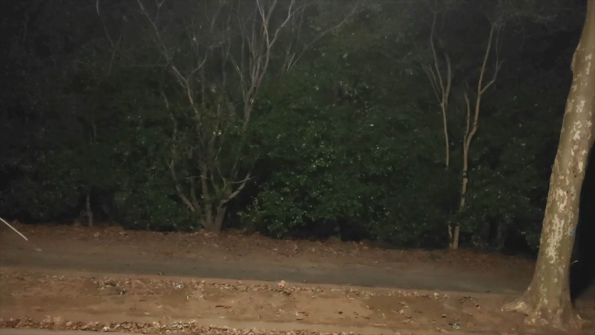 night18 Object Detection Dataset by li3