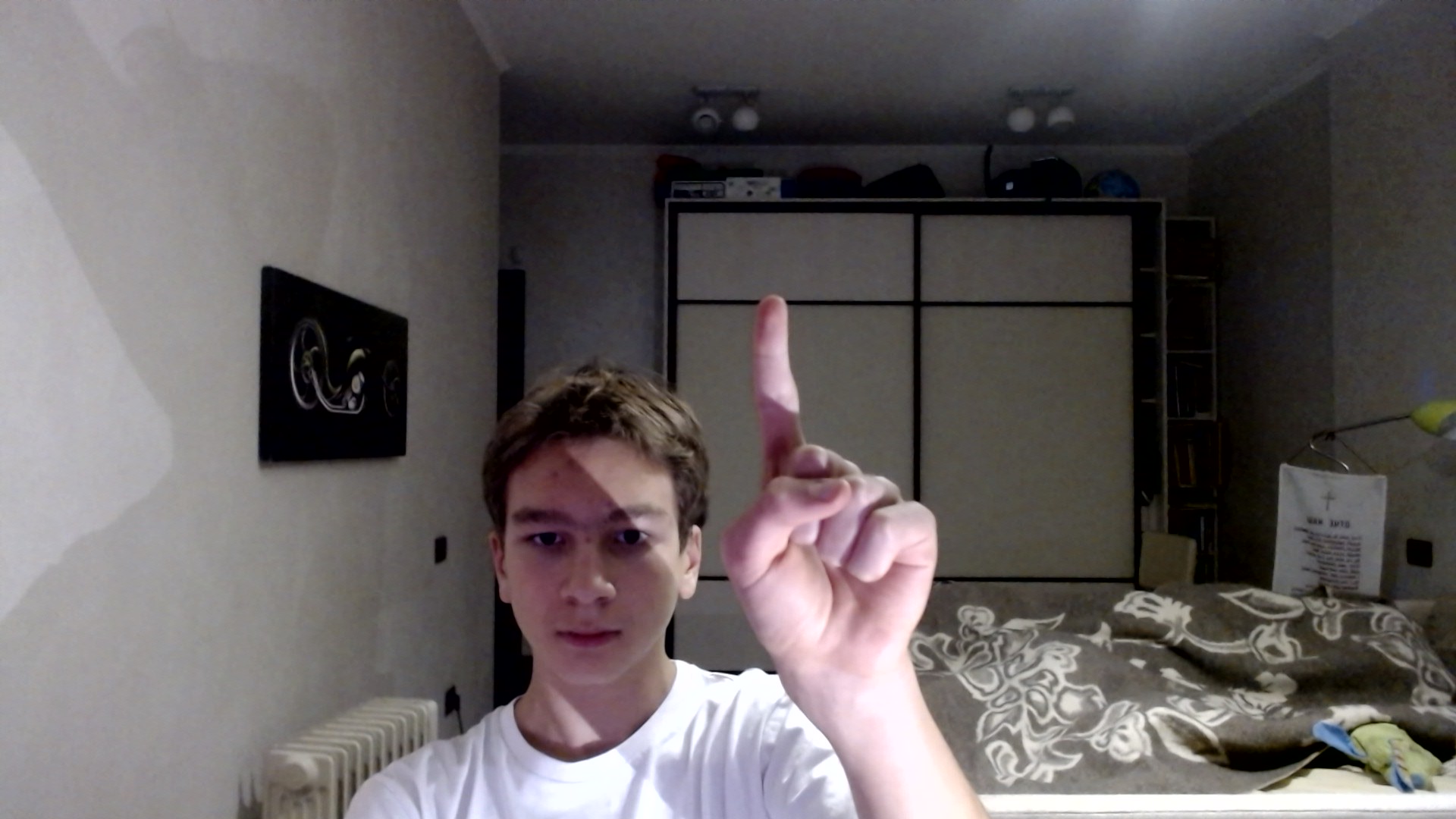 monkey signs Instance Segmentation Dataset by yeeeeees