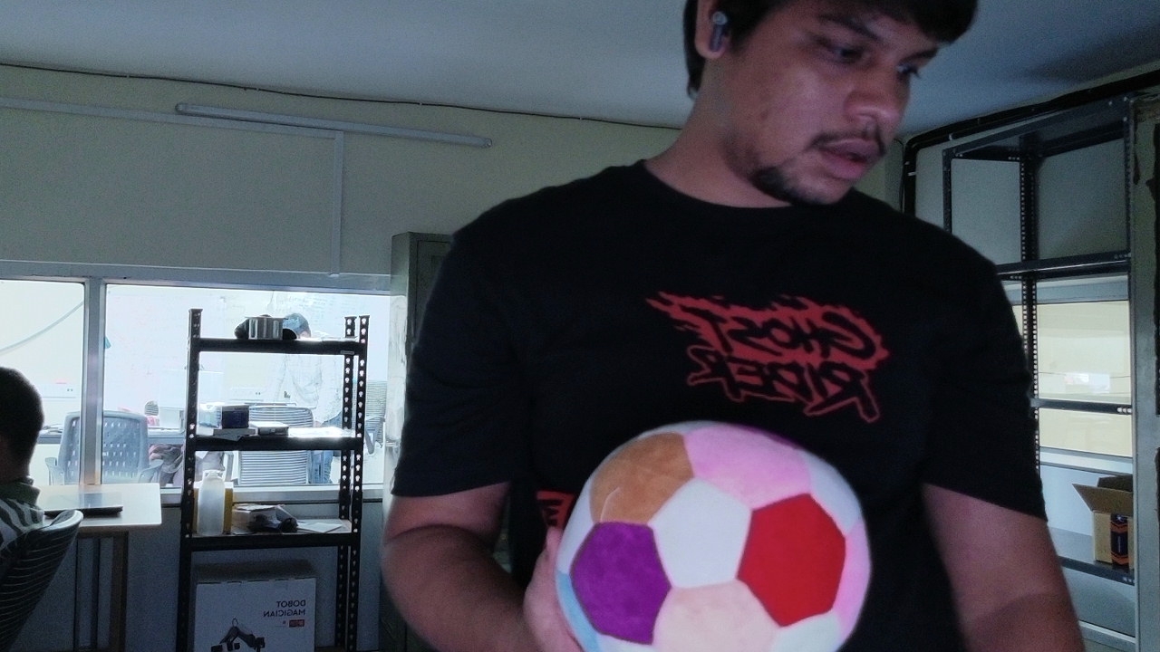 ball_dataset Object Detection Dataset by rpo