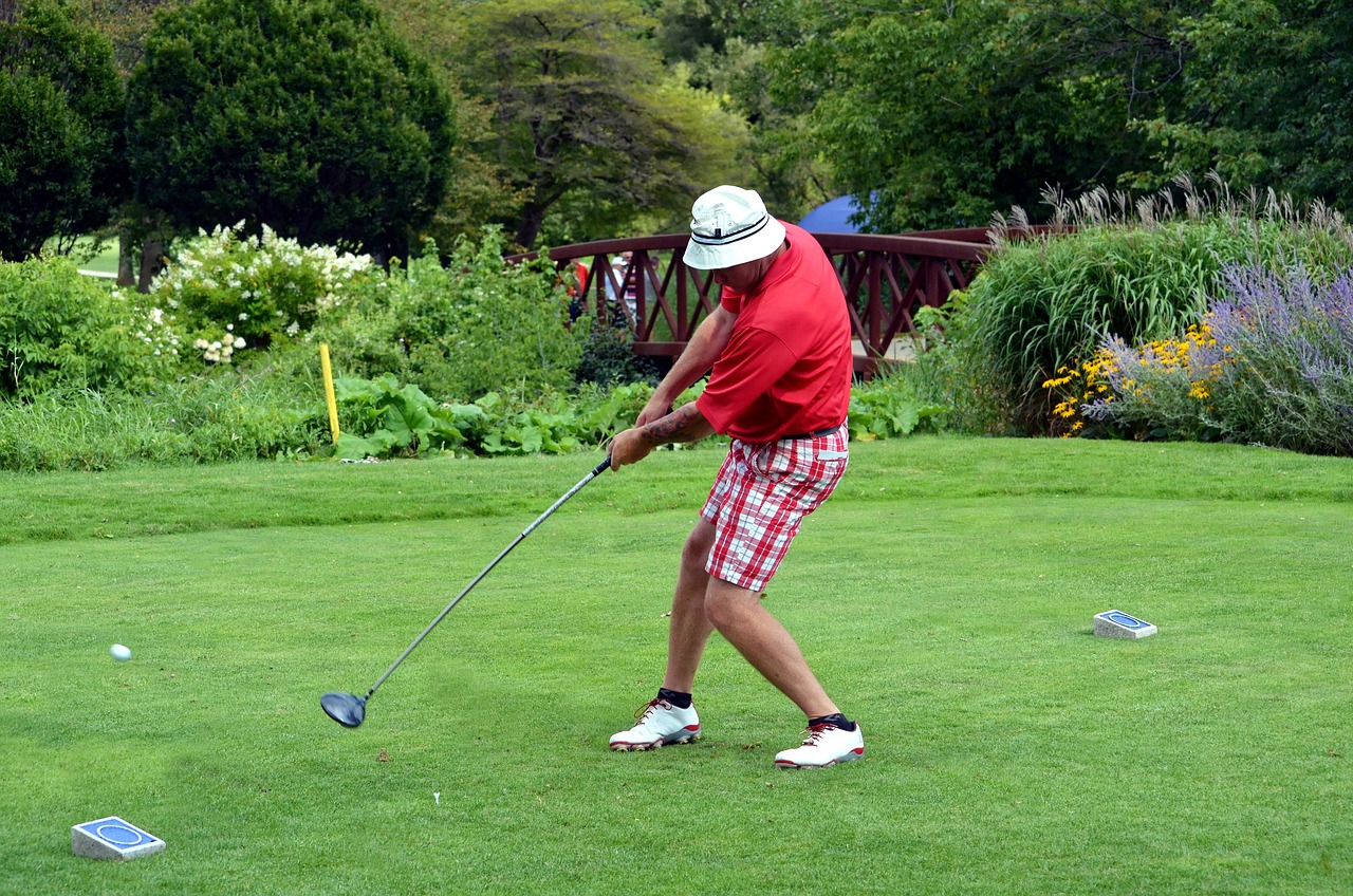 Detect Golfclub Object Detection Dataset And Pre Trained Model By