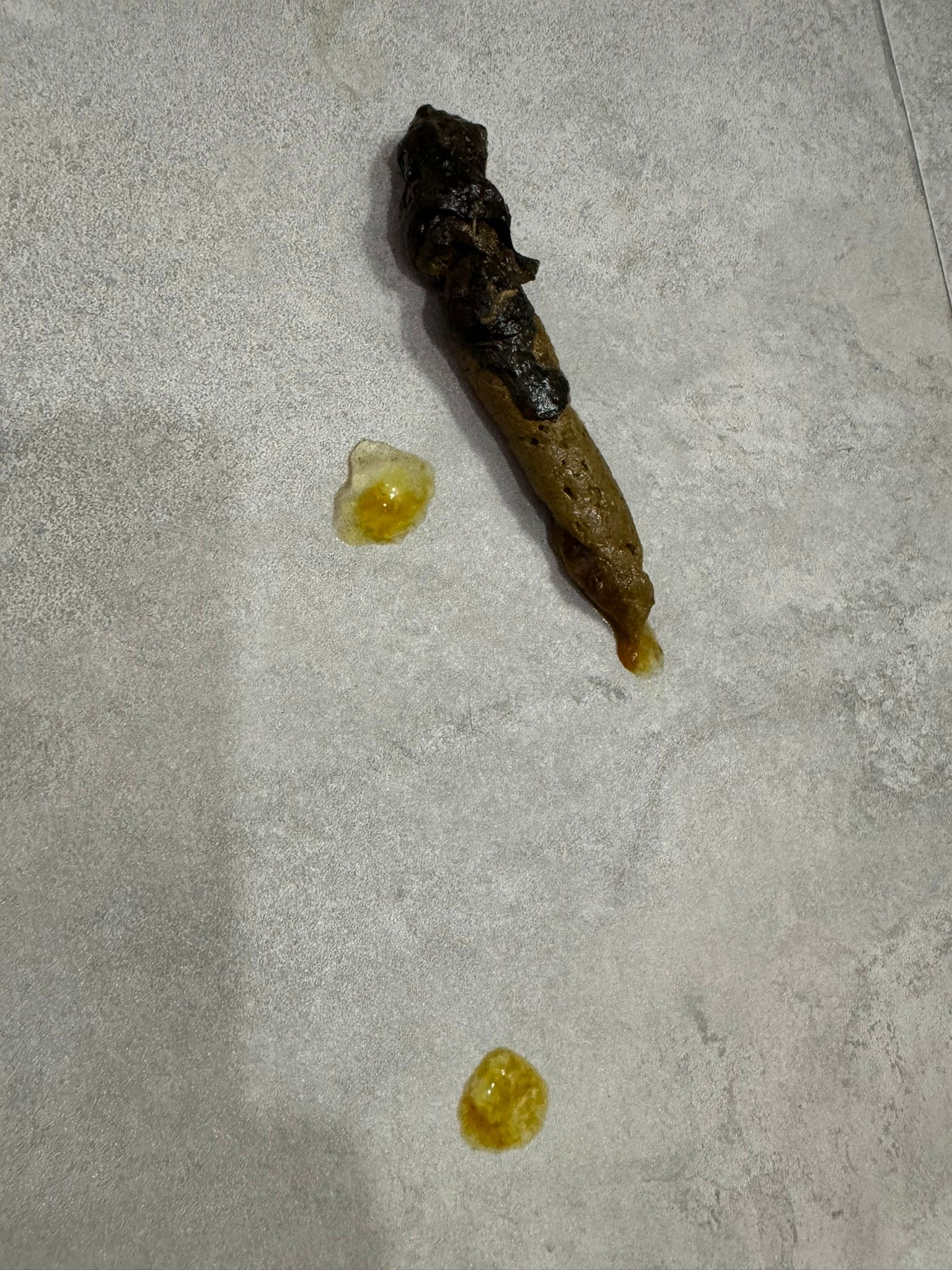 Petalife Instance Segmentation Dataset by CV