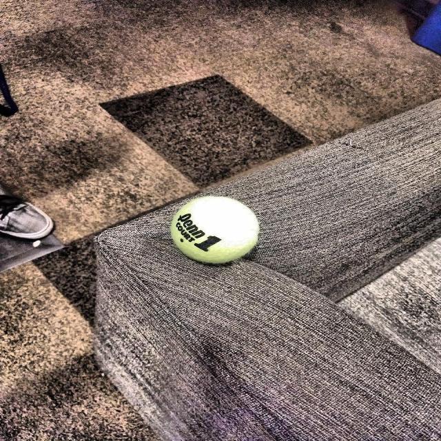 ball_player_raquet Object Detection Dataset and Pre-Trained Model by ta1