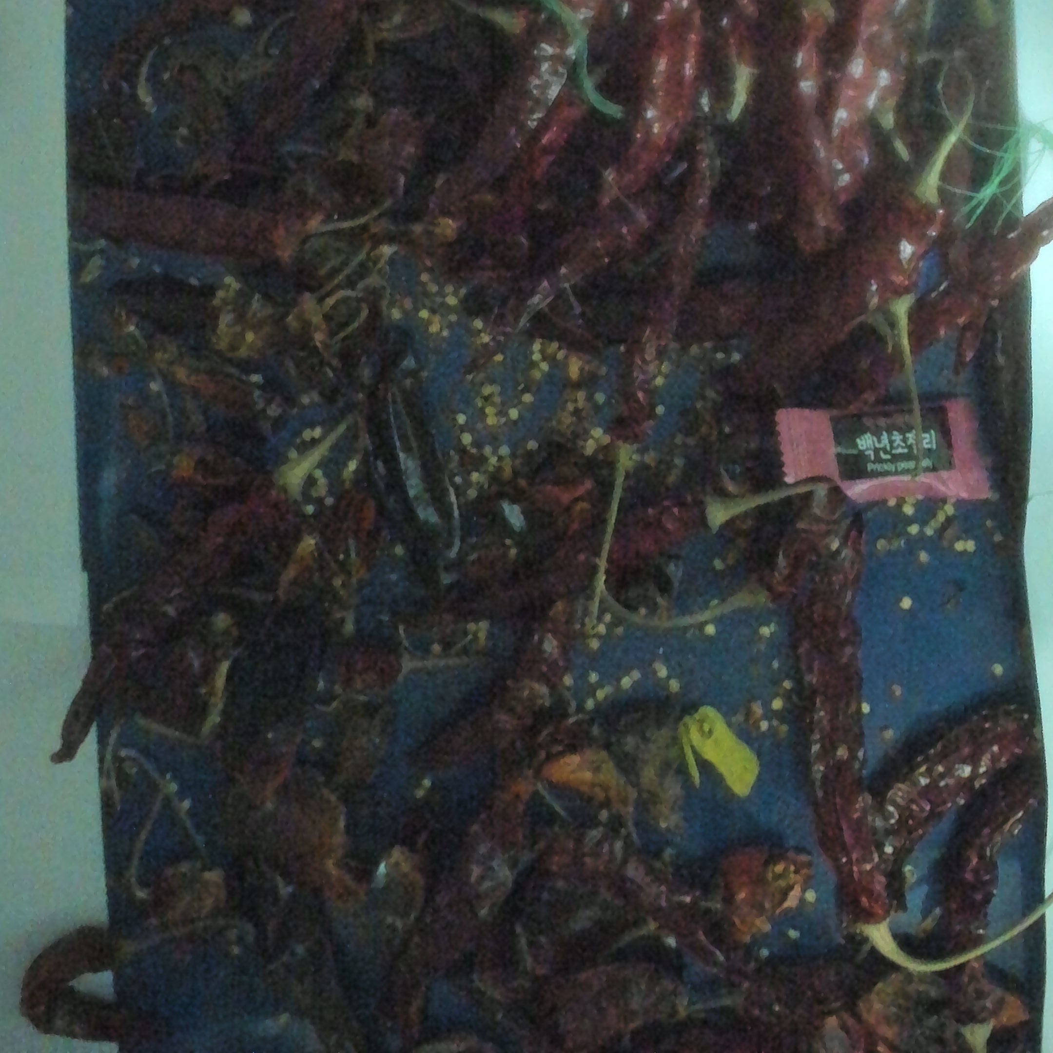 pepper Instance Segmentation Model (v14, 2025-05-19 11:39pm) by pepper