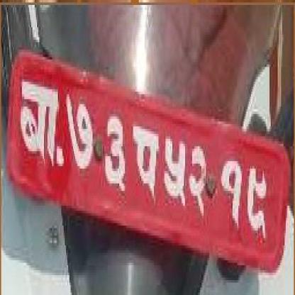 Number Plate Segmentation Instance Segmentation Dataset and Pre-Trained Model by DigiPark