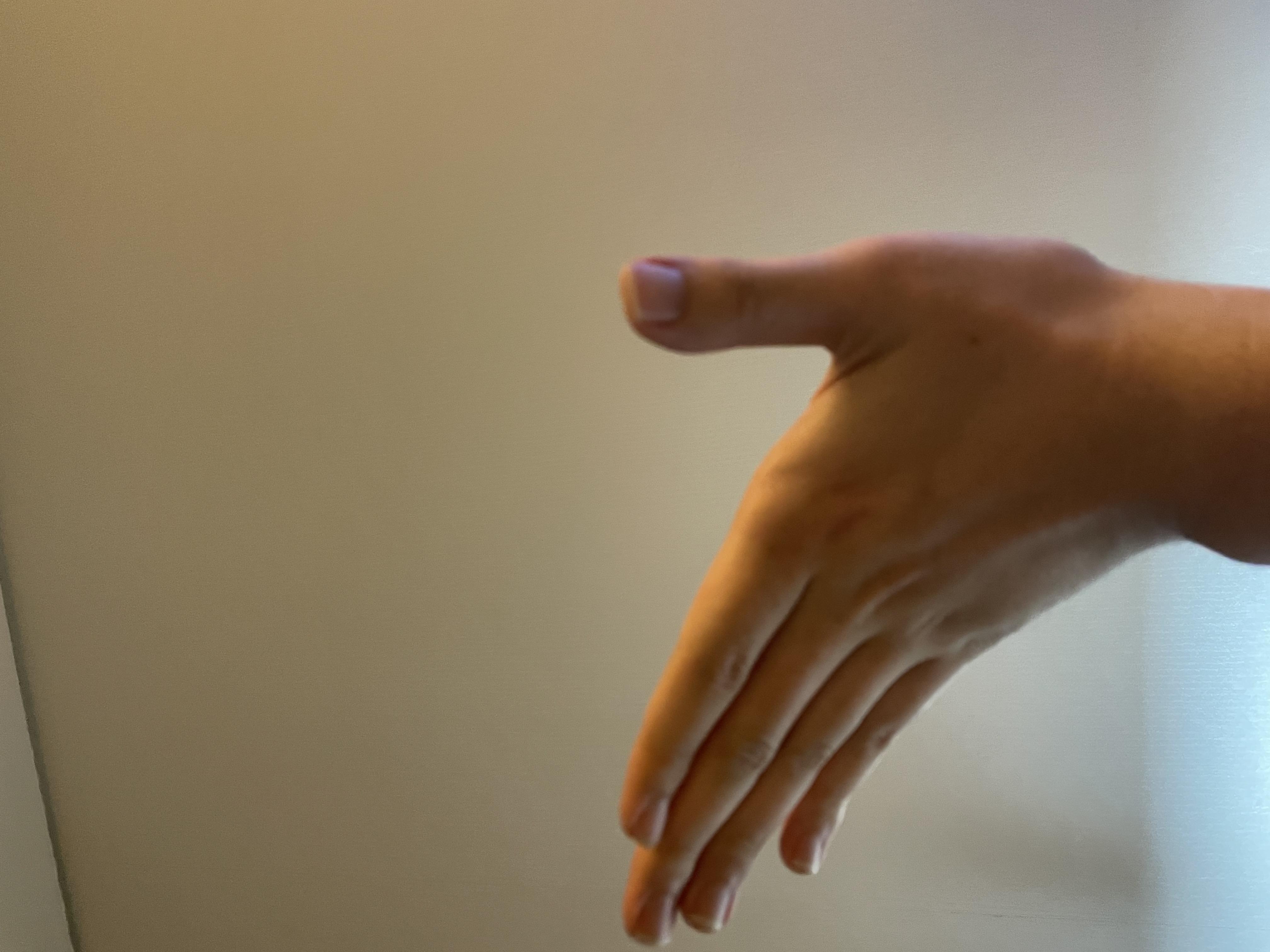 Yolo v11 Object Detection Dataset by Yolo v11