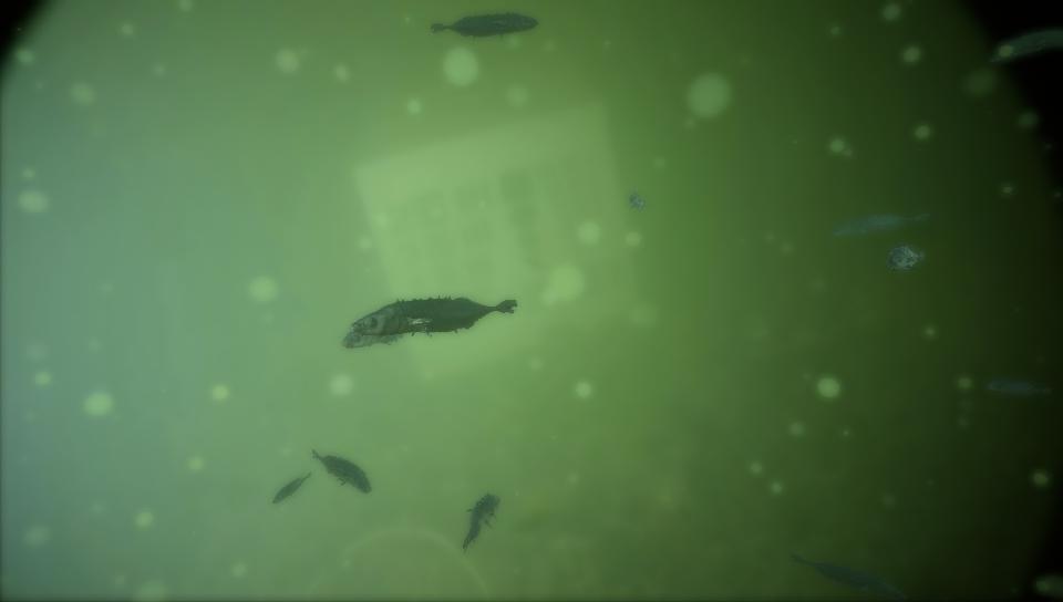 bmot_synth Object Detection Dataset and Pre-Trained Model by Yoshimi