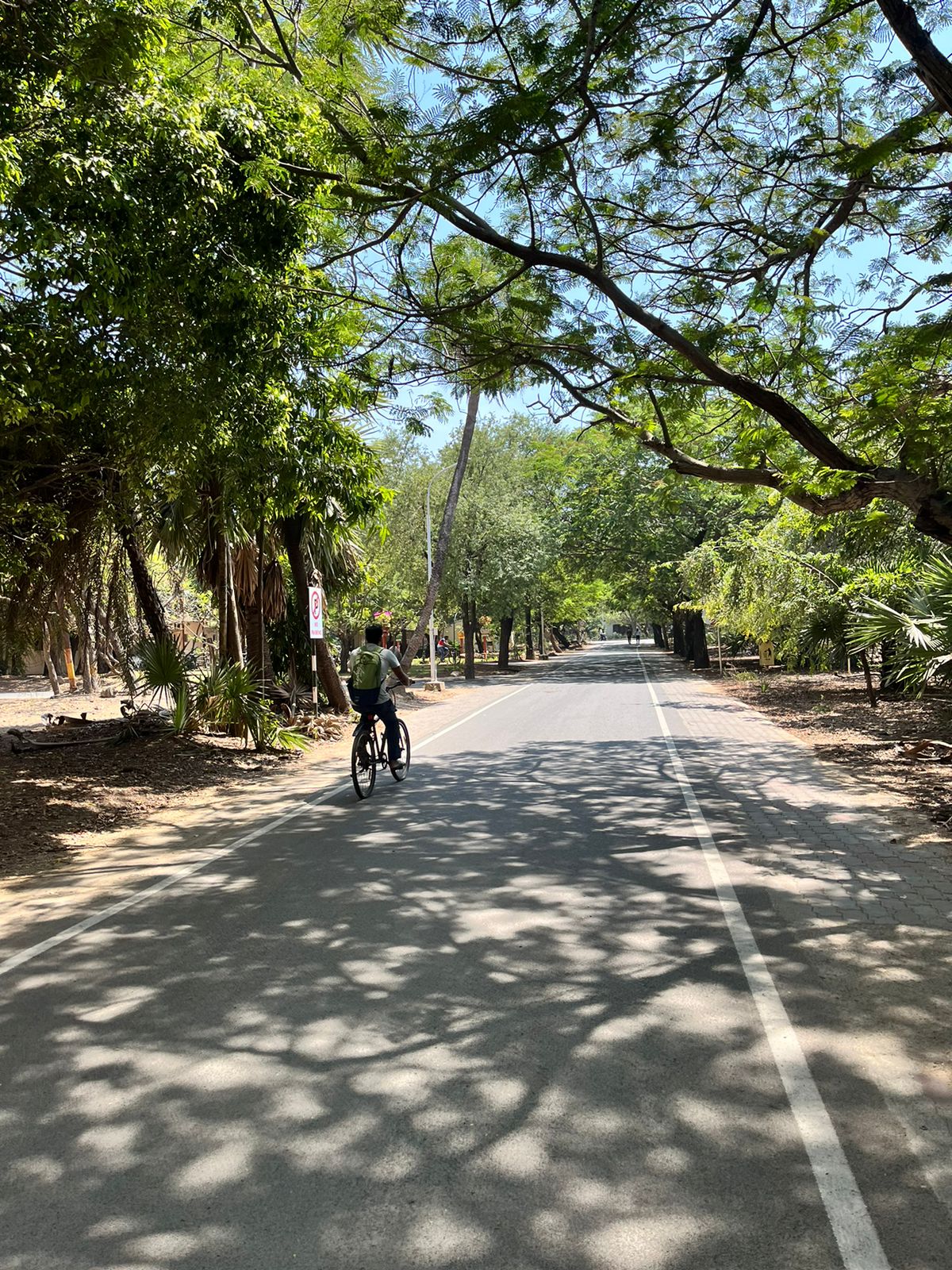 Cycle Tyre Detection Object Detection Dataset By Cycledetectionbtp