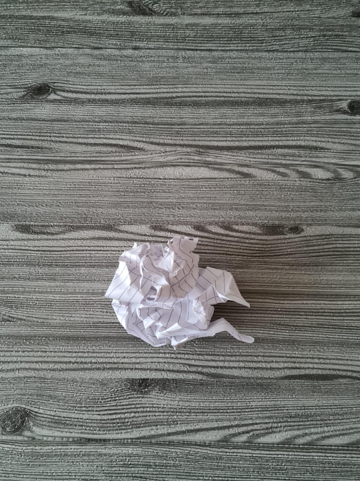 paper trash Object Detection Model by Anantha krishnan