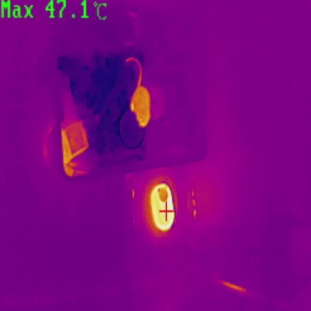 How to Use the Rodent Thermal Object Detection API