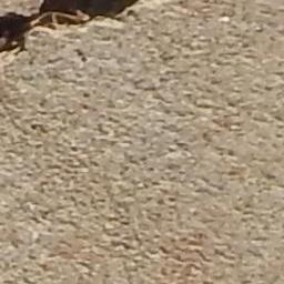 CrackDetection Object Detection Dataset by crack detection