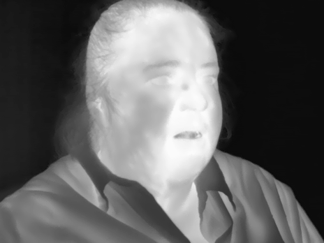 face_yolo Object Detection Dataset by pdpu