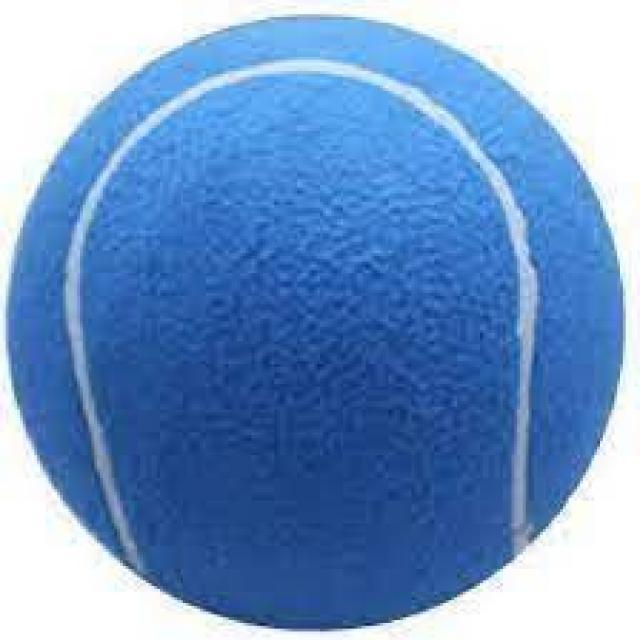 Afgho Object Detection Dataset And Pre Trained Model By Plastic Balls