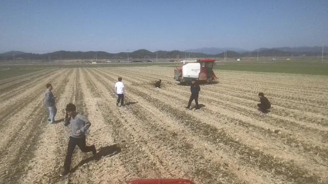 BBOX 100 Object Detection Dataset by Abhi Acote