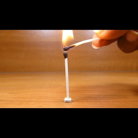 yolo to detectron Object Detection Dataset by sw