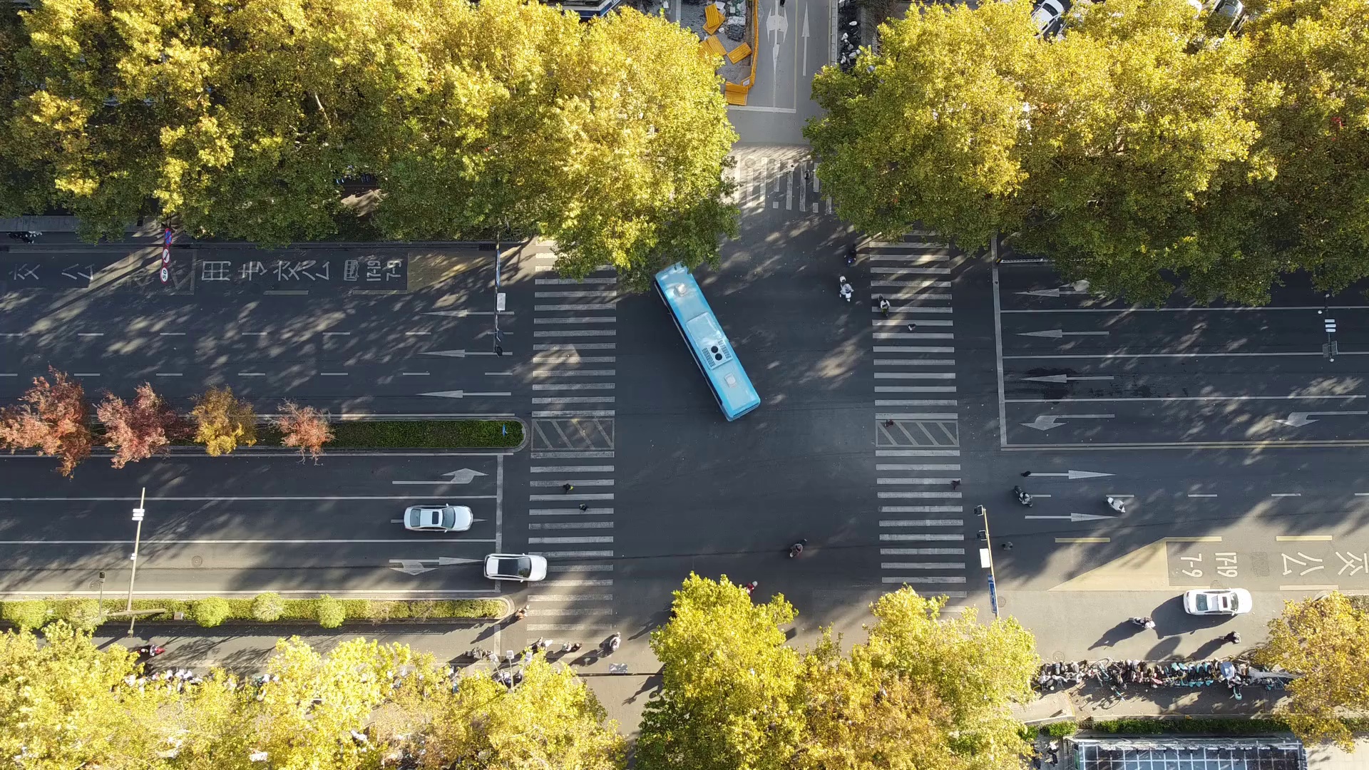 TASKY Object Detection Dataset and Pre-Trained Model by DELALAWORKBENCH