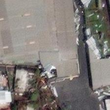 vgg Classification Dataset and Pre-Trained Model by test coco