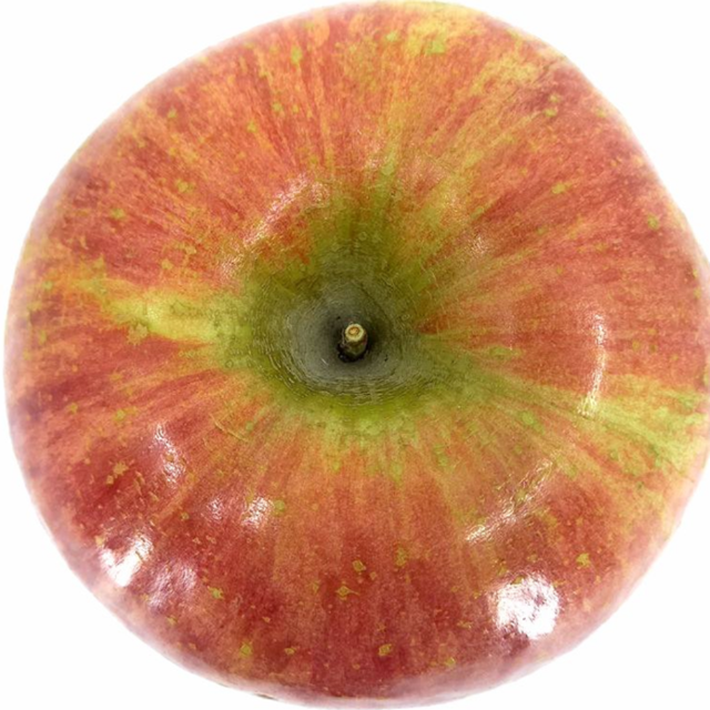 fruit_validset_ann Instance Segmentation Dataset by FF