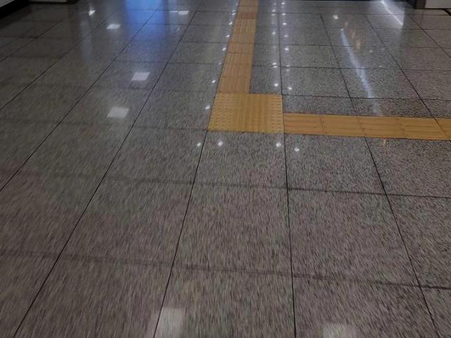 Paving Tactile Detection Object Detection Model by Raihan Aria